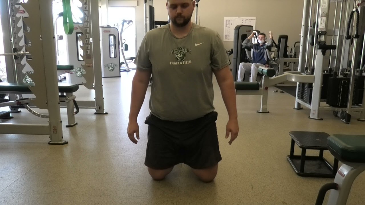 Seal Stretch - YouTube