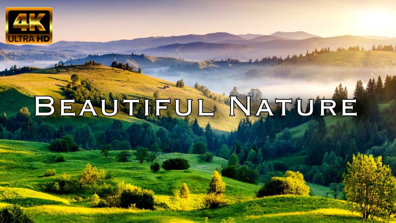 Amazing beautiful Nature with relaxing music and sound in 4k | Best ...