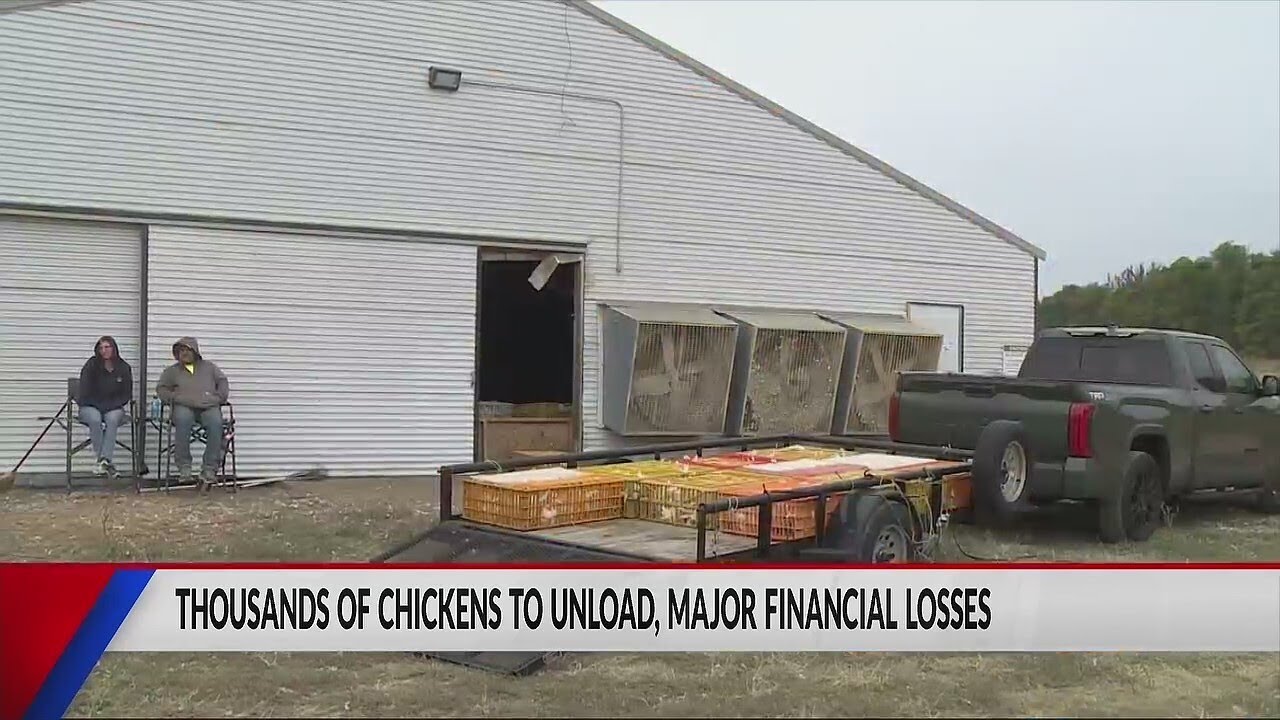 The abrupt closure Pure Prairie Poultry’s processing plant has ...