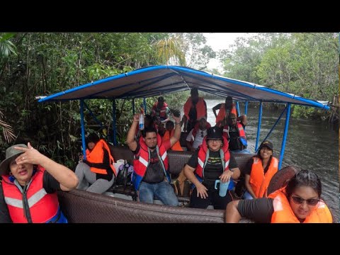 BIRD WATCHING TOUR #MAHAICA RIVER GUYANA - YouTube