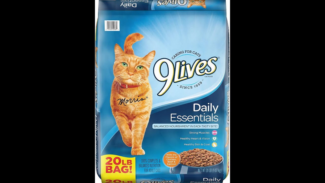 9Lives 20 Lb Daily Essentials Dry Cat Food, - YouTube