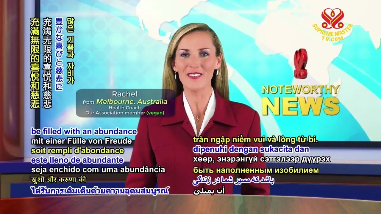 Supreme Master Television Live Stream 2018 11 17 - YouTube