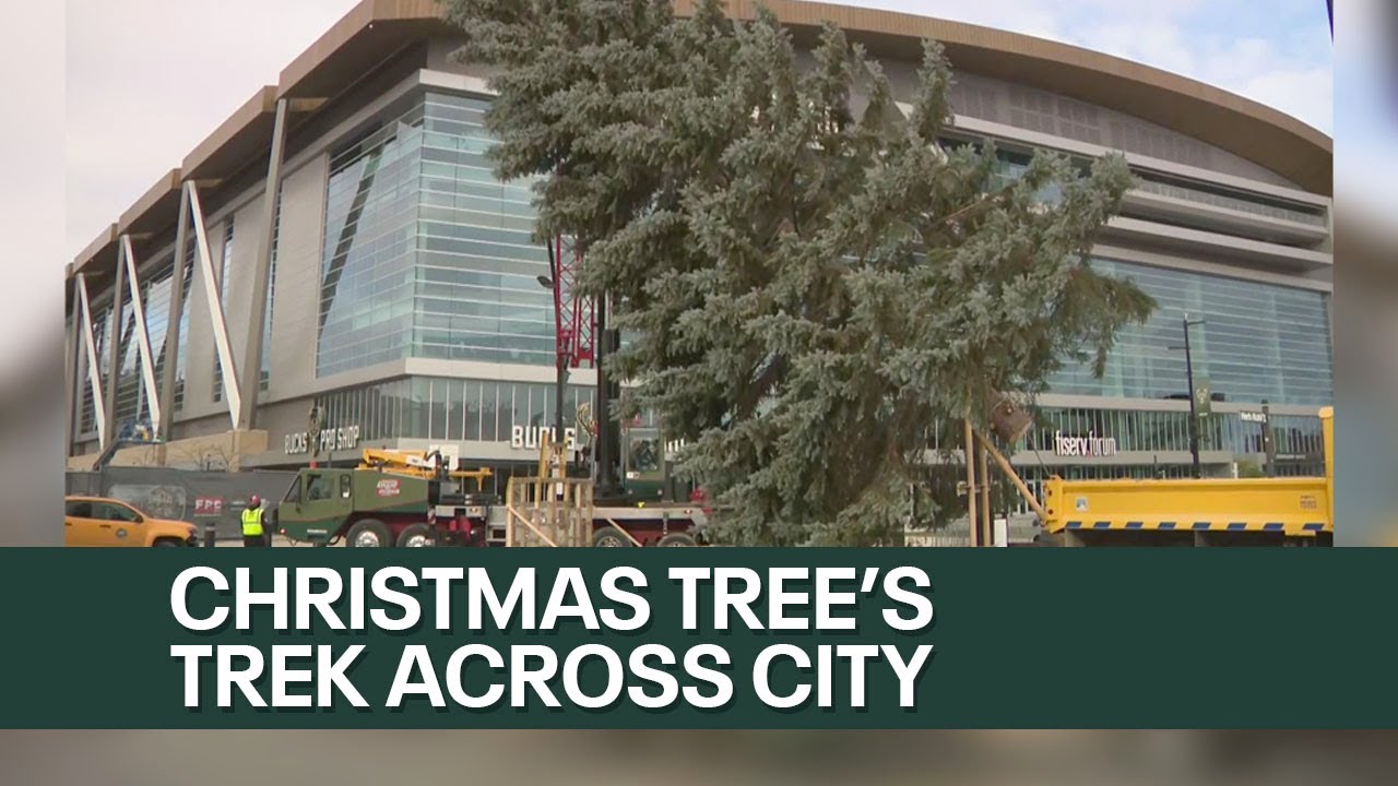 2024 Milwaukee Christmas tree's journey across city | FOX6 News ...