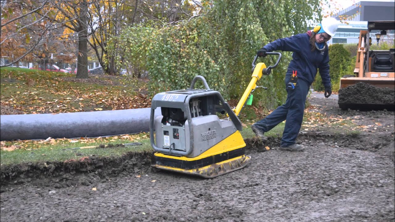 Planting sod on CU-Soil (Projet de gazon renforcé) - YouTube