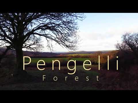 Pengelli Forest - YouTube