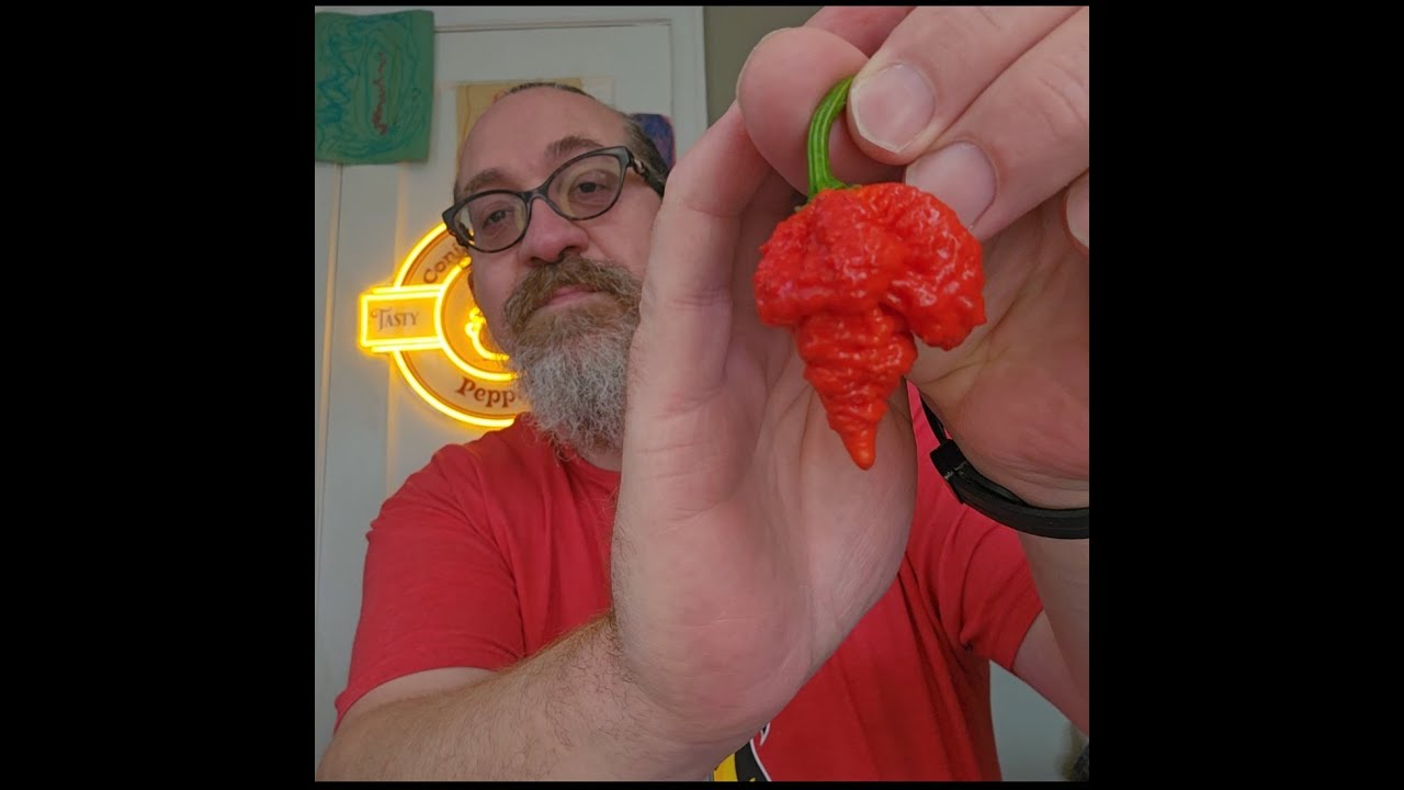 🔥 RB003 Pepper Review – Burn_Daily Gifted Superhot with Explosive ...