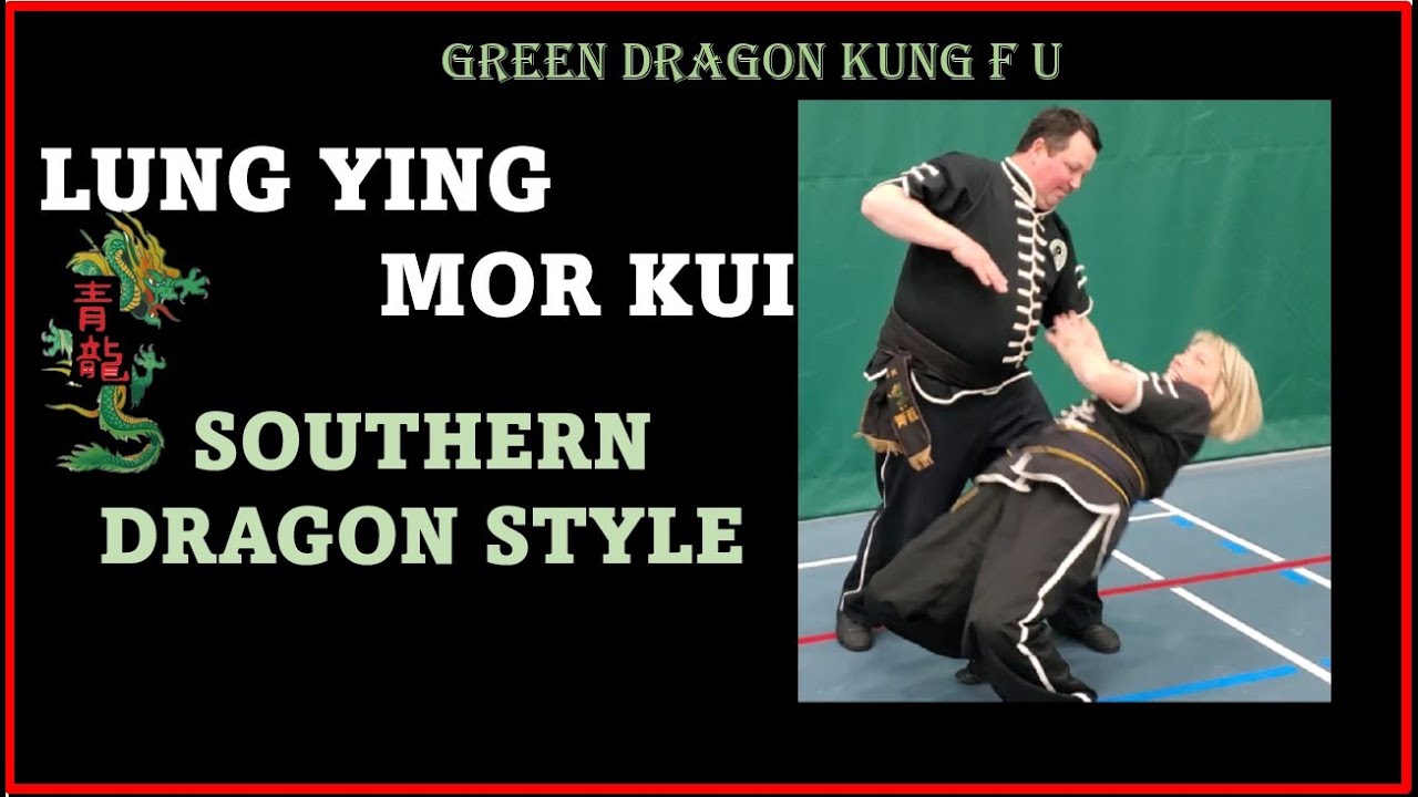 Southern Dragon Kung Fu