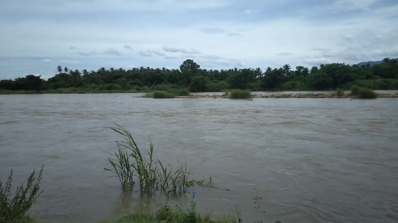 vellore palar river - YouTube