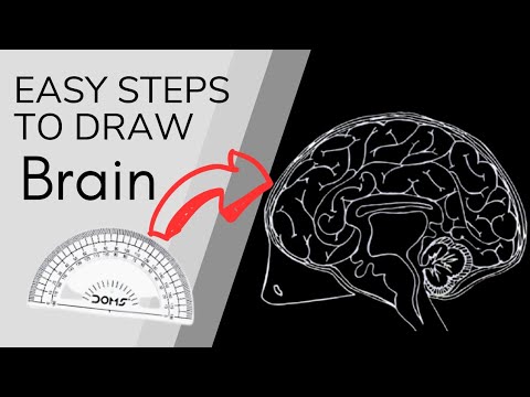 Easy way to draw the Brain || How to draw Brain diagram easy - YouTube