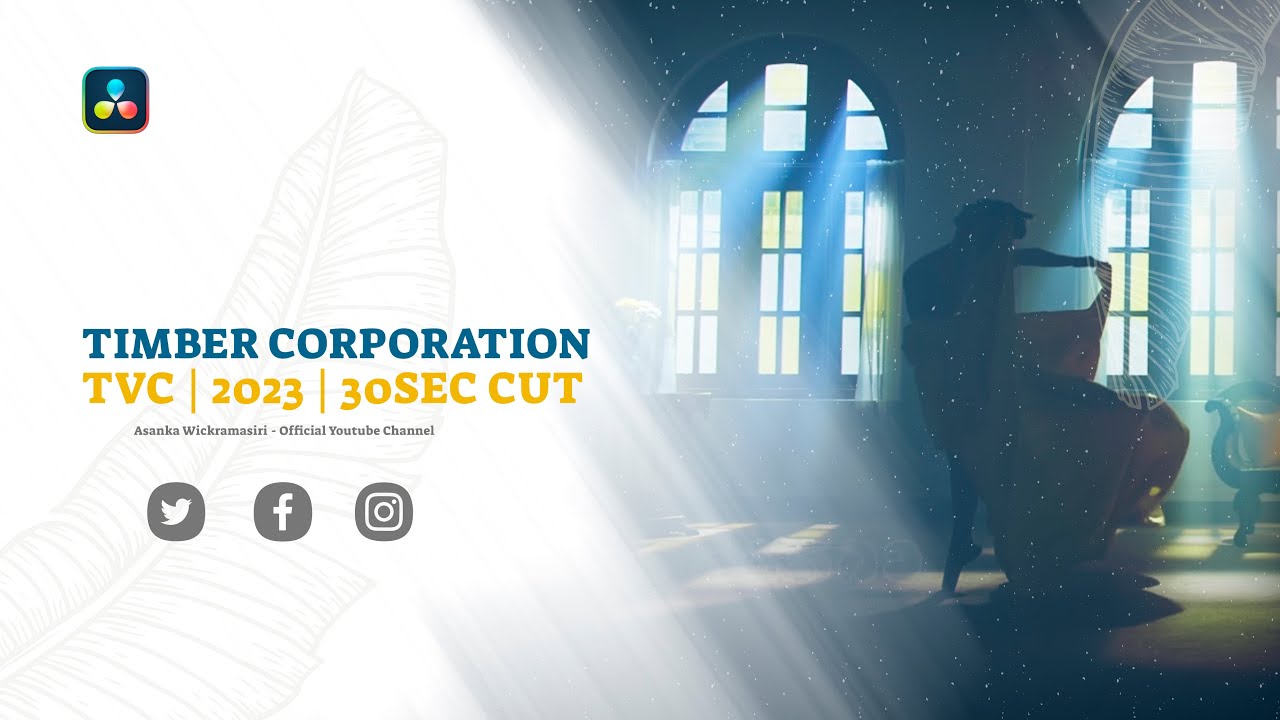 State Timber Corporation TVC | 2023 | 30SEC CUT - YouTube