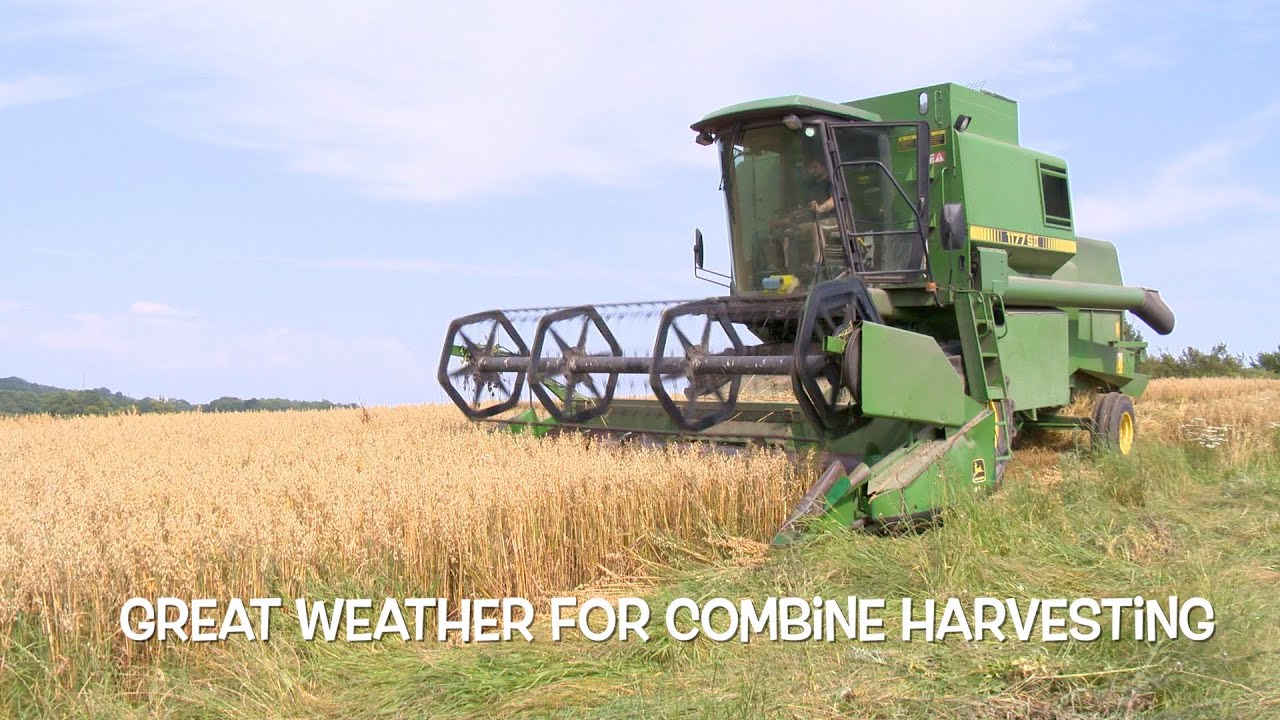 The Hiram Moore Reaper: How It Changed Farming Forever [History ...