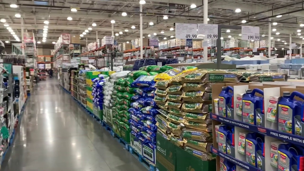 COSTCO is EMPTY! Where is everyone?? - YouTube
