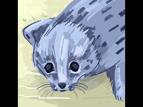 Lil Queen Live Stream - YouTube