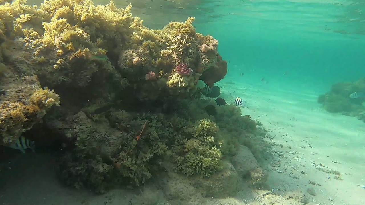 Taba heights underwater snorkeling 2019 4K - YouTube