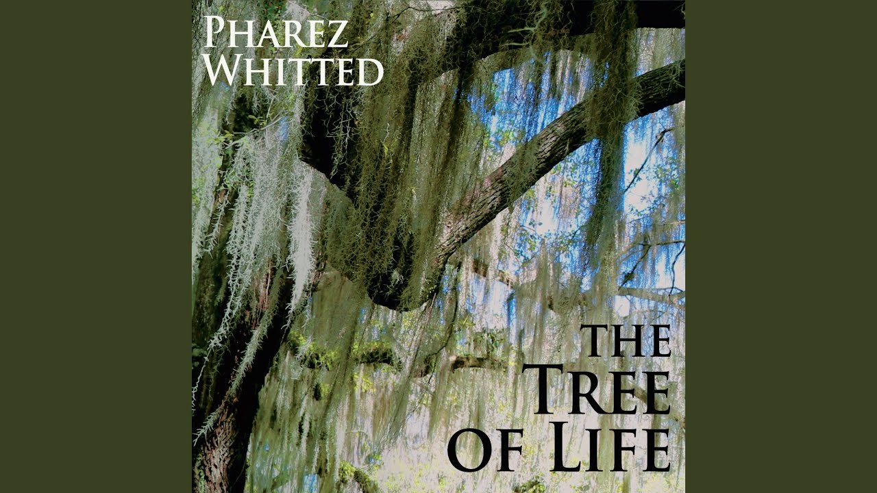 The Tree of Life - YouTube