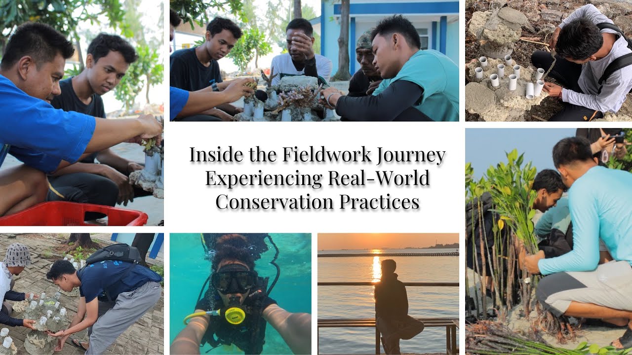 Inside the Fieldwork Journey Experiencing Real-World Conservation ...