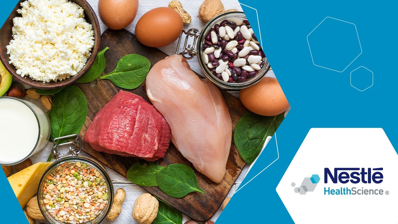 Les propriétés des protéines et leur rôle sur l'organisme - YouTube