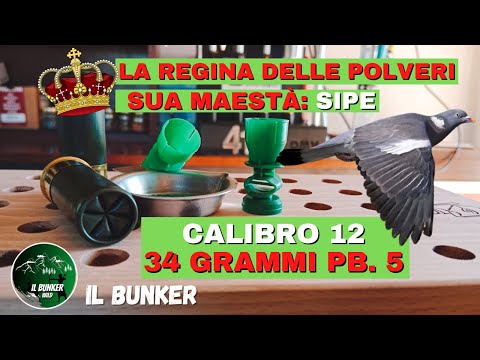 Sua maestà Sipe - 34 grammi pb. 5 - Calibro 12
