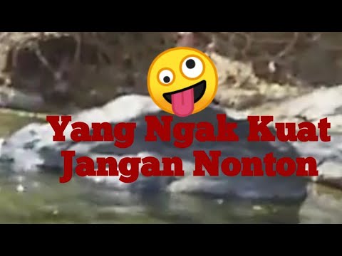 Ngintip Orang yang lagi mandi di sungai