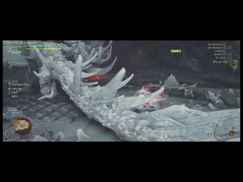 MHWilds Zoe Shia Solo 12min Sword&Shield - YouTube