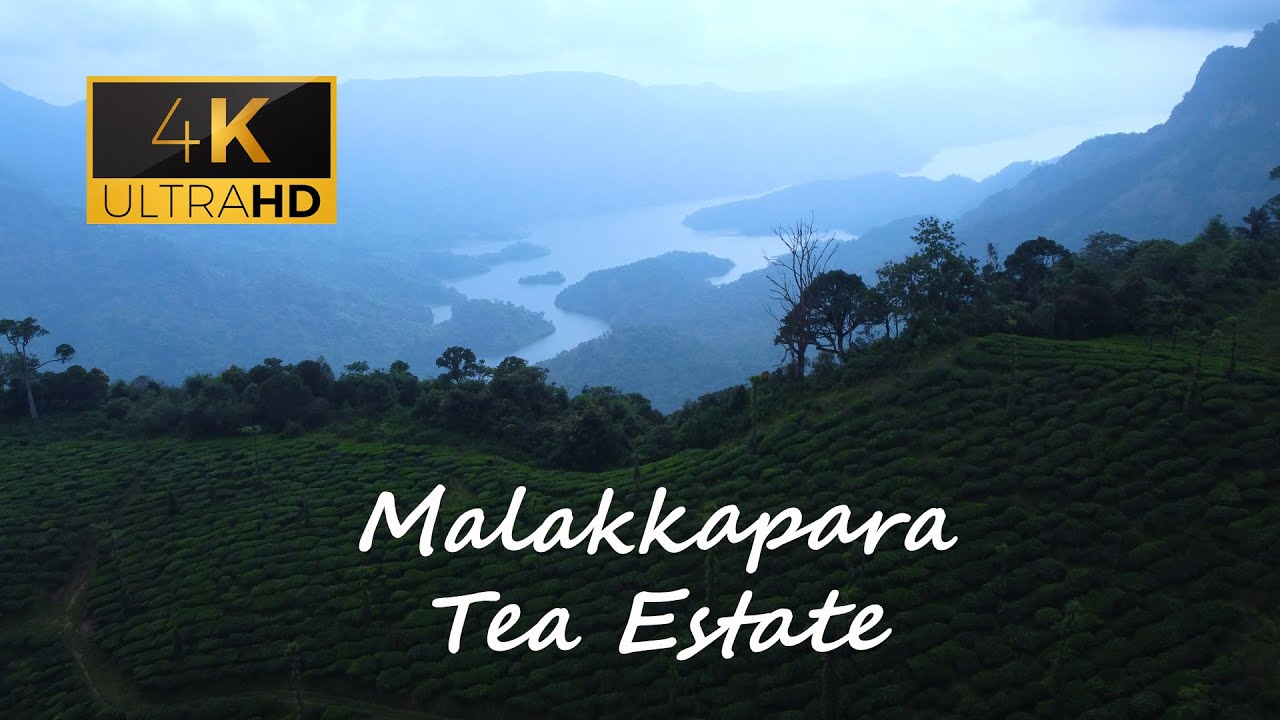 Malakkapara Tea Estate | 4K Drone Shot | Sholayar Dam View - YouTube