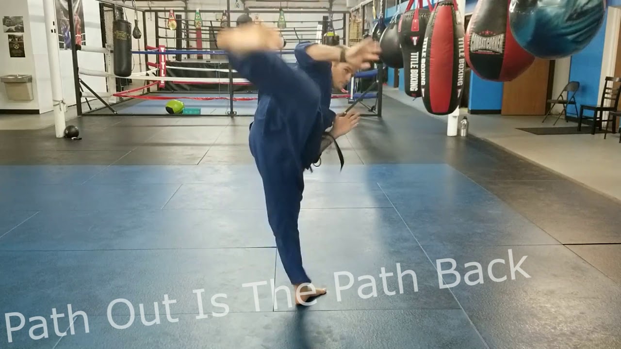 orthadox rear straight leg hook kick - YouTube