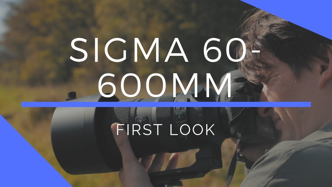 Sigma 60-600mm f/4.5-6.3 DG First Look - YouTube