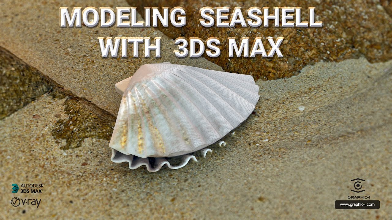 Modeling scallop seashell in 3ds Max tutorial - YouTube
