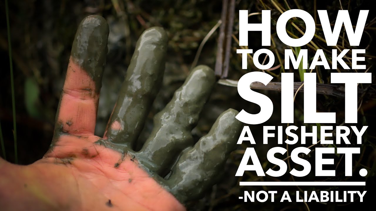 How to make silt an asset to your fishery, not a liability. - YouTube