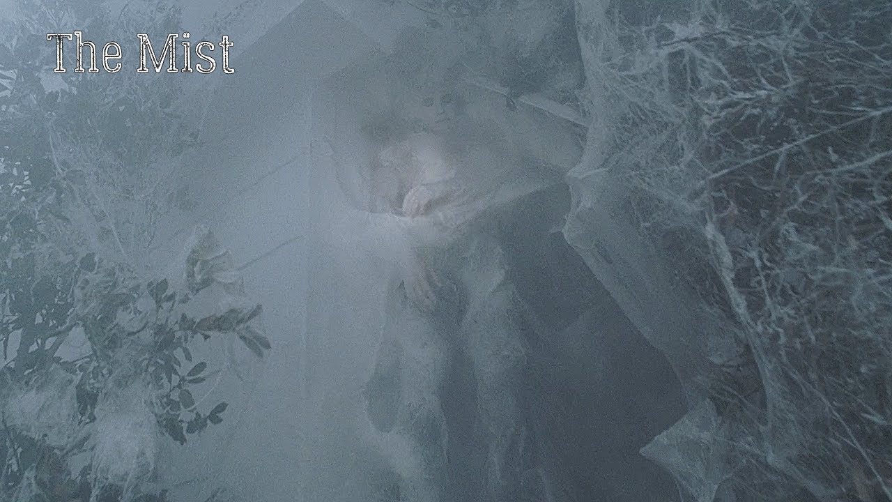 The Mist: Traveling in the fog. Come home and see a spider cocoon ...