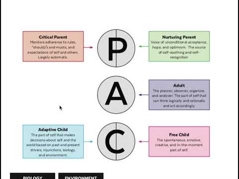 DrRhoads Intro to PAC Model Pt 2: Critic - YouTube