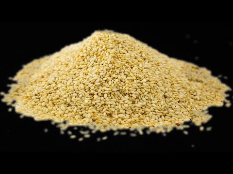 The Gamer Kid Show - Season 1 - YouTube