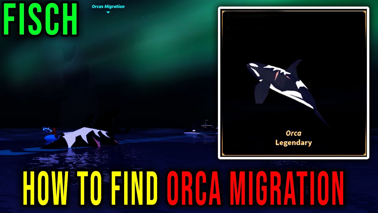 ORCA MIGRATION - HOW TO FIND & GET ORCA [FISCH] - Roblox - YouTube