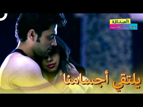 العيون هي مرآة القلب | الصداقة عنوان الحب