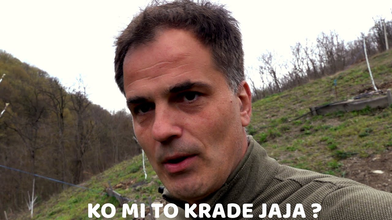 Neko mi KRADE JAJA! Krompirići 1000 a na selu DŽABE ! - YouTube