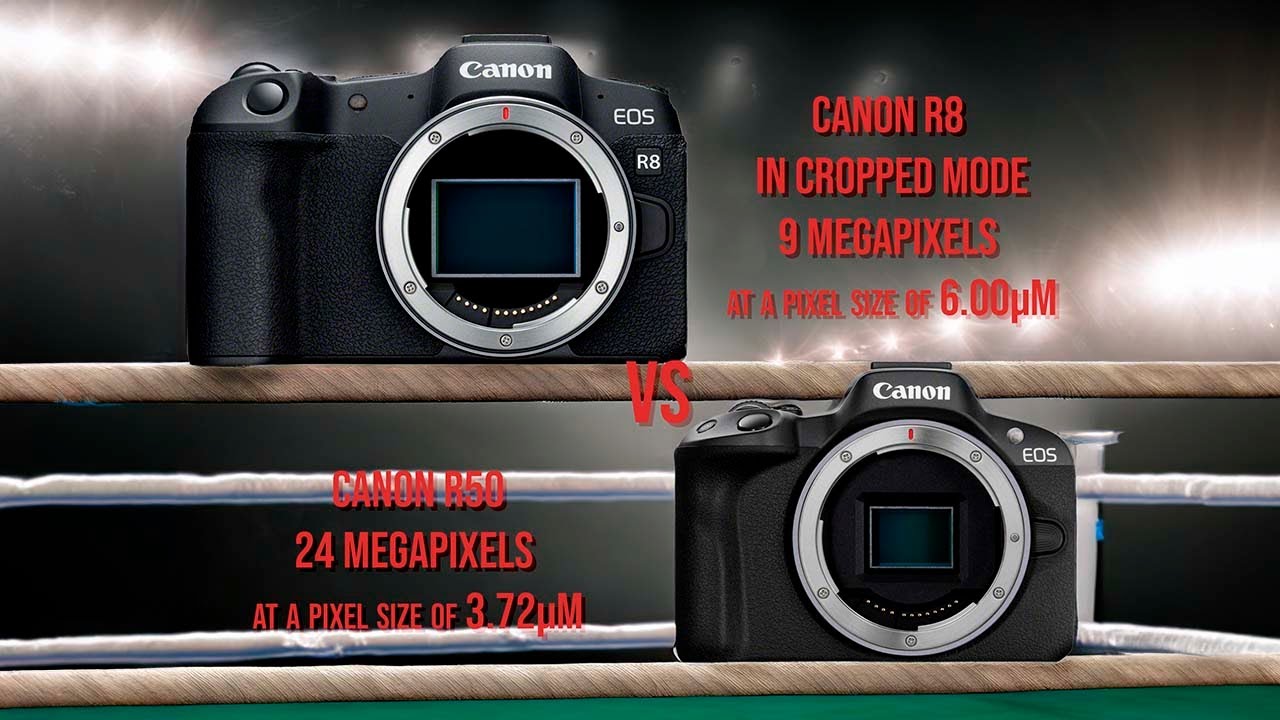 Canon R8 in Cropped mode vs Canon R50 - YouTube