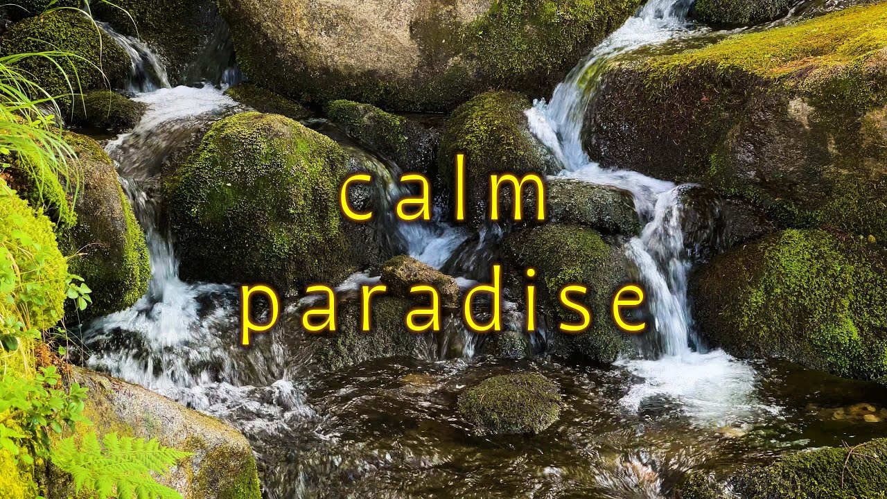 Calm, soothing meditation music in amazing nature retreat - YouTube