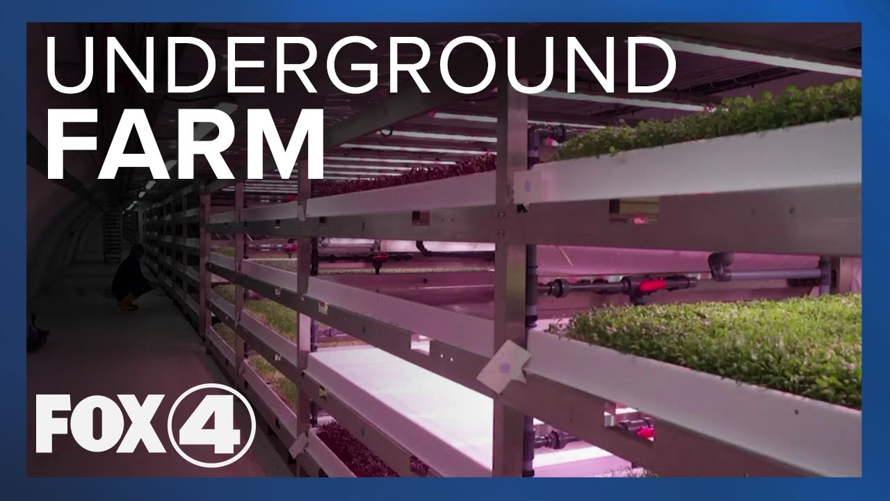 Bomb shelter turned underground farm - YouTube