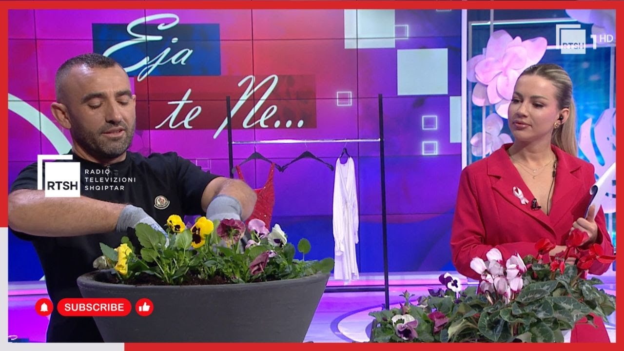 Gjelbërimi i oborrëve gjatë sezonit të dimrit | Eja te ne - YouTube