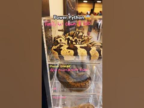 💪 Power Python 🐍 - YouTube