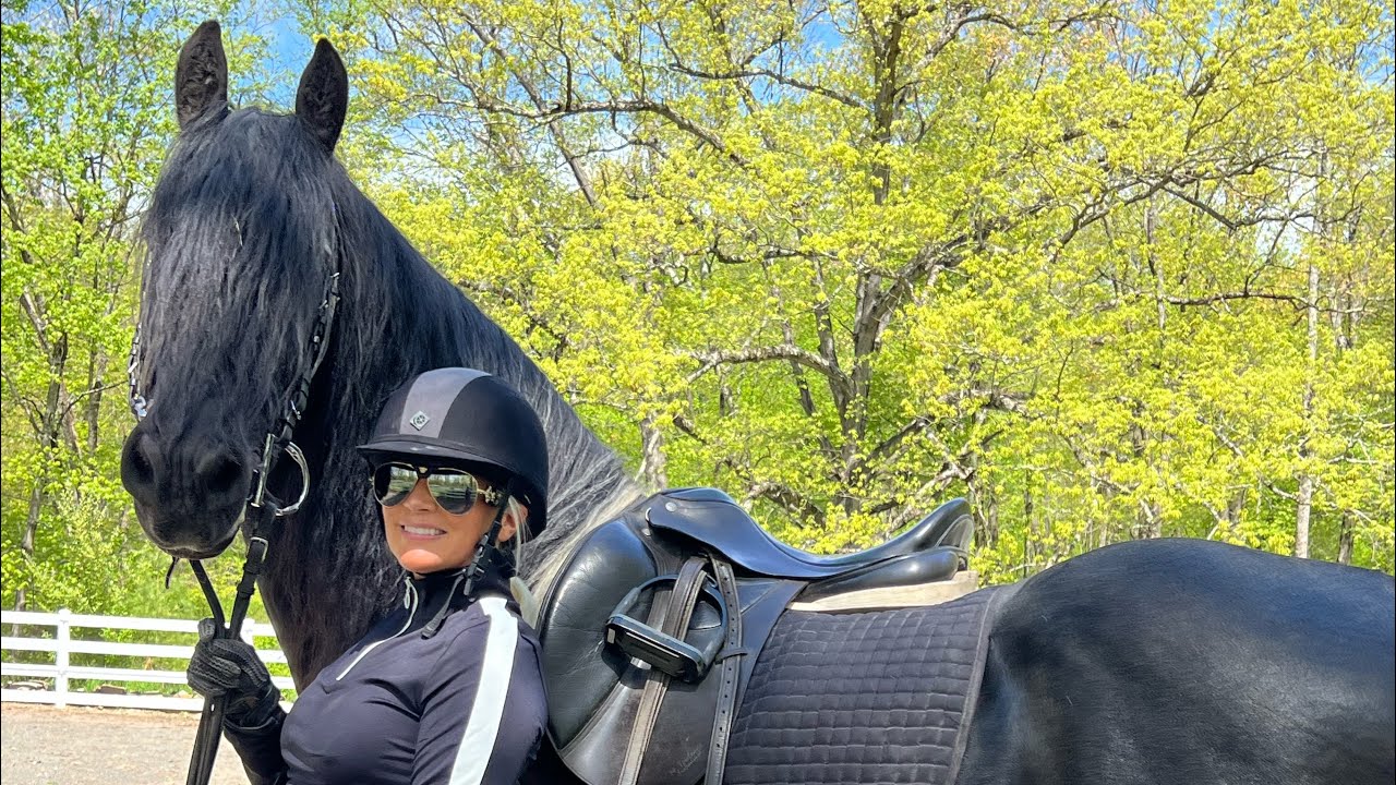 Gypsian Stallion ♥️💋 - YouTube