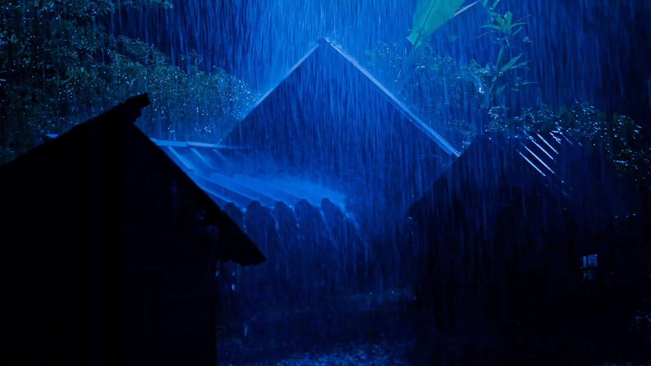 Calming Forest Rainfall: Soothing Rain Sounds Amid Lush Trees for ...