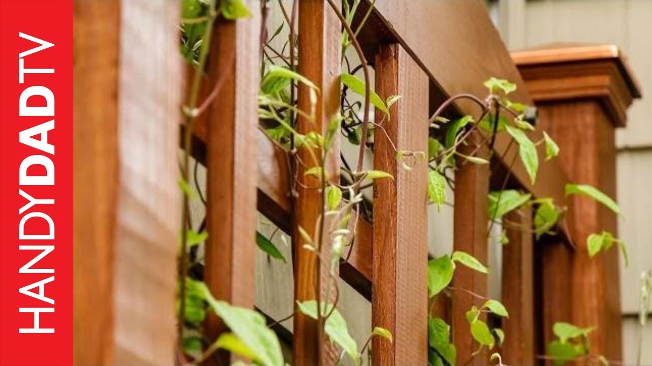 Build a DIY Trellis in a Weekend - YouTube