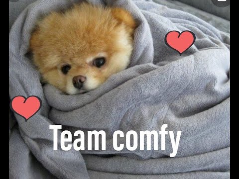 Team Comfy intro! Get comfortable - YouTube