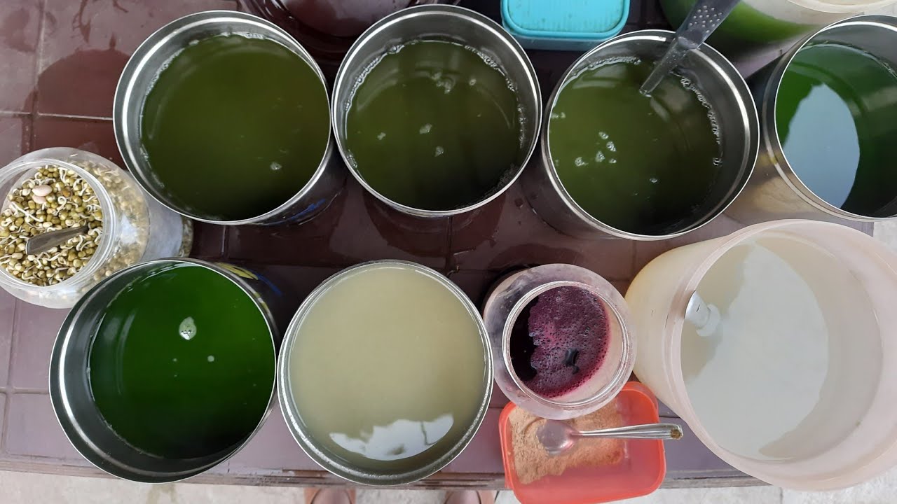 ಇಲ್ಲಿ 10 ತರ ಜ್ಯೂಸು ಕೇವಲ 10 ರೂಪಾಯಿಗೆ ಕೊಡ್ತಾರೆ 10 Types juice only 10Rs ...