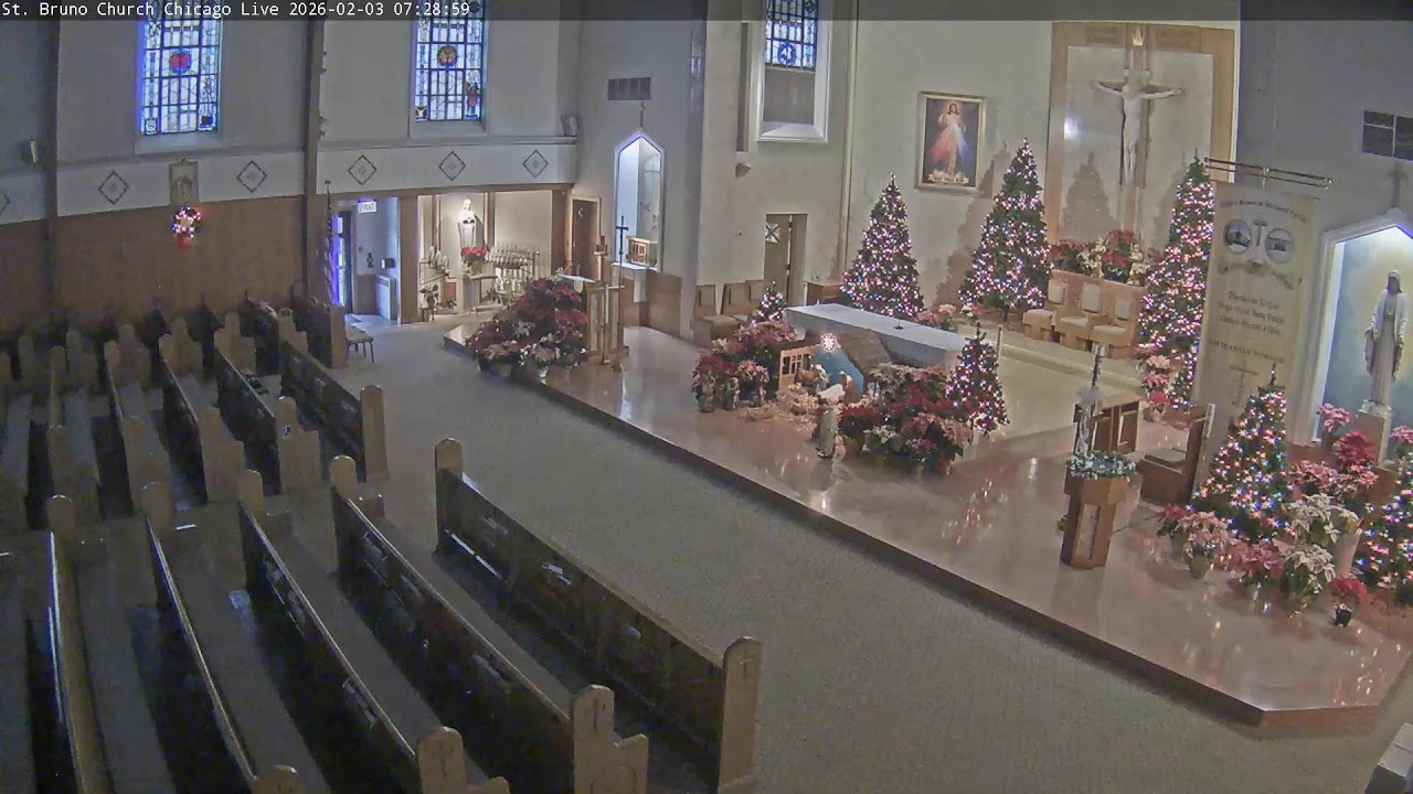 St. Bruno Chicago Live - YouTube