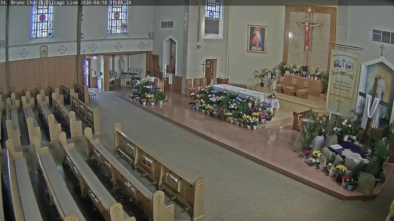 St. Bruno Chicago Live - YouTube