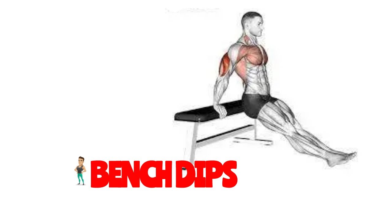 BENCH DIPS - YouTube