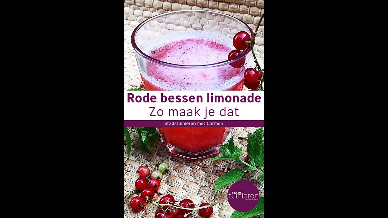 Stadstuinieren - Recept Rode bessen limonade #moestuin - YouTube