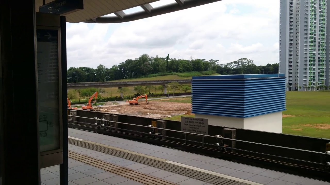 SBS Transit C810A Set 53 At SW4 Thanggam (To STC Sengkang (Via SW5 ...